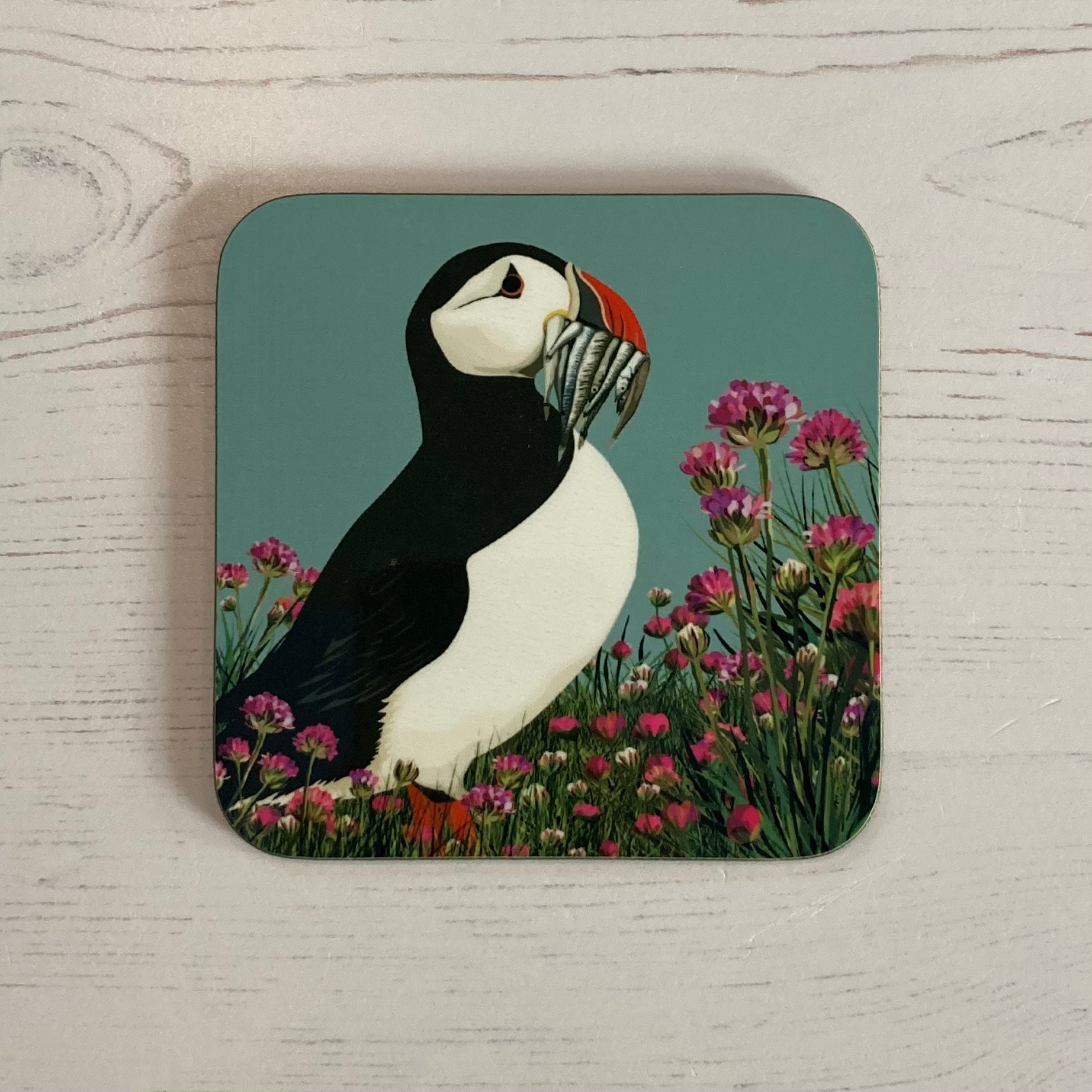 Puffin Collection – Scottish Seabird Centre
