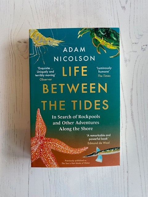 Life Between the Tides – Scottish Seabird Centre