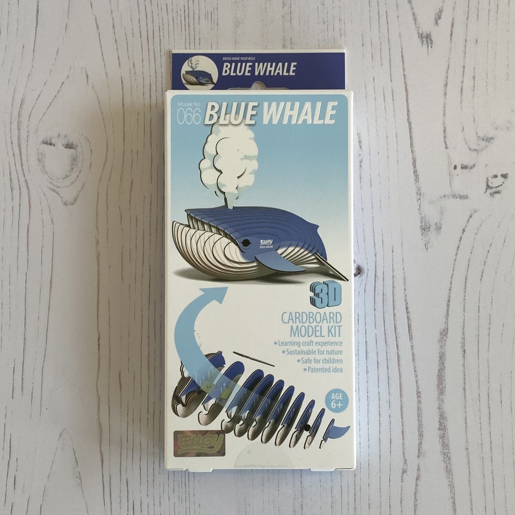 Blue Whale Craft Model Kit – Scottish Seabird Centre