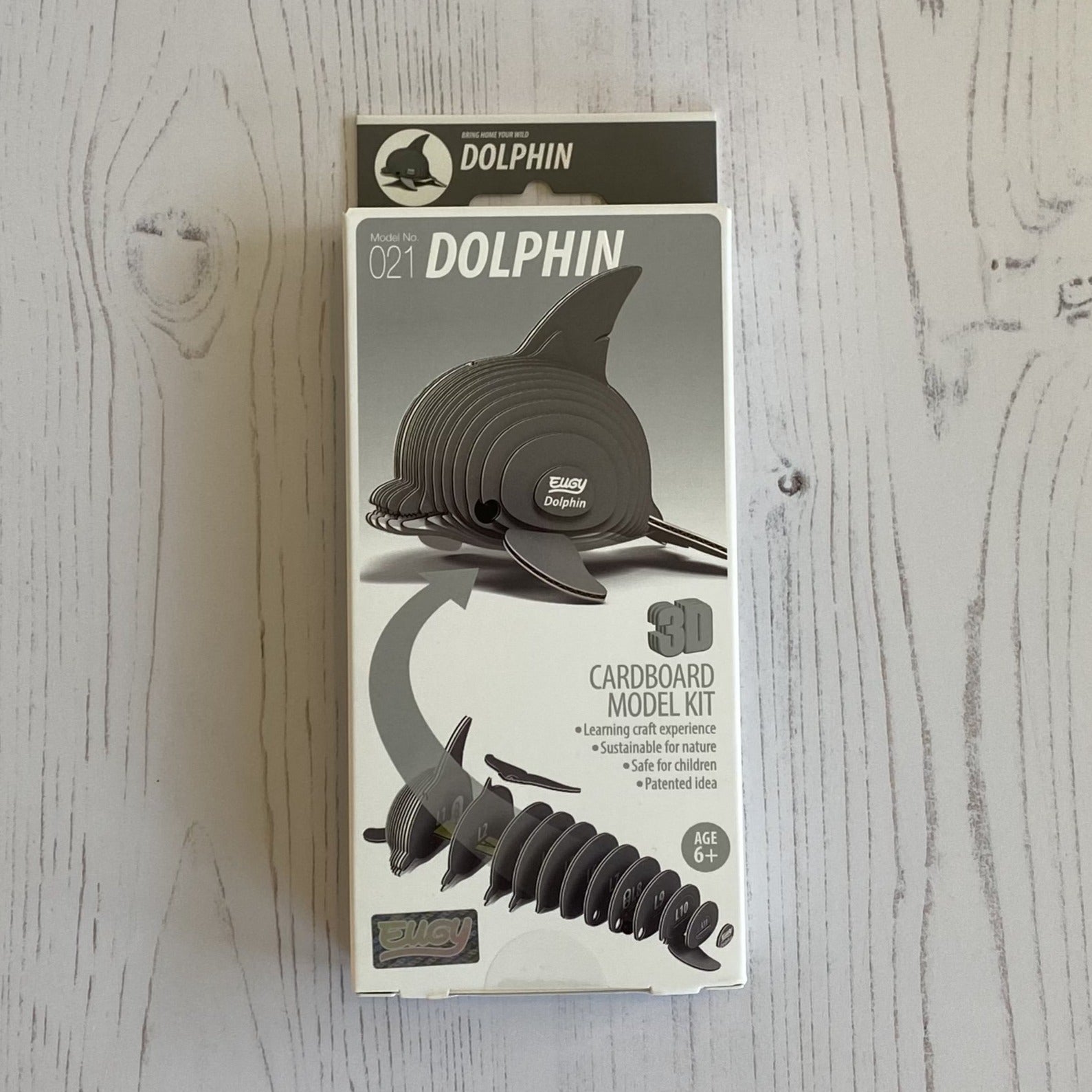 Dolphin Craft Model Kits – Scottish Seabird Centre