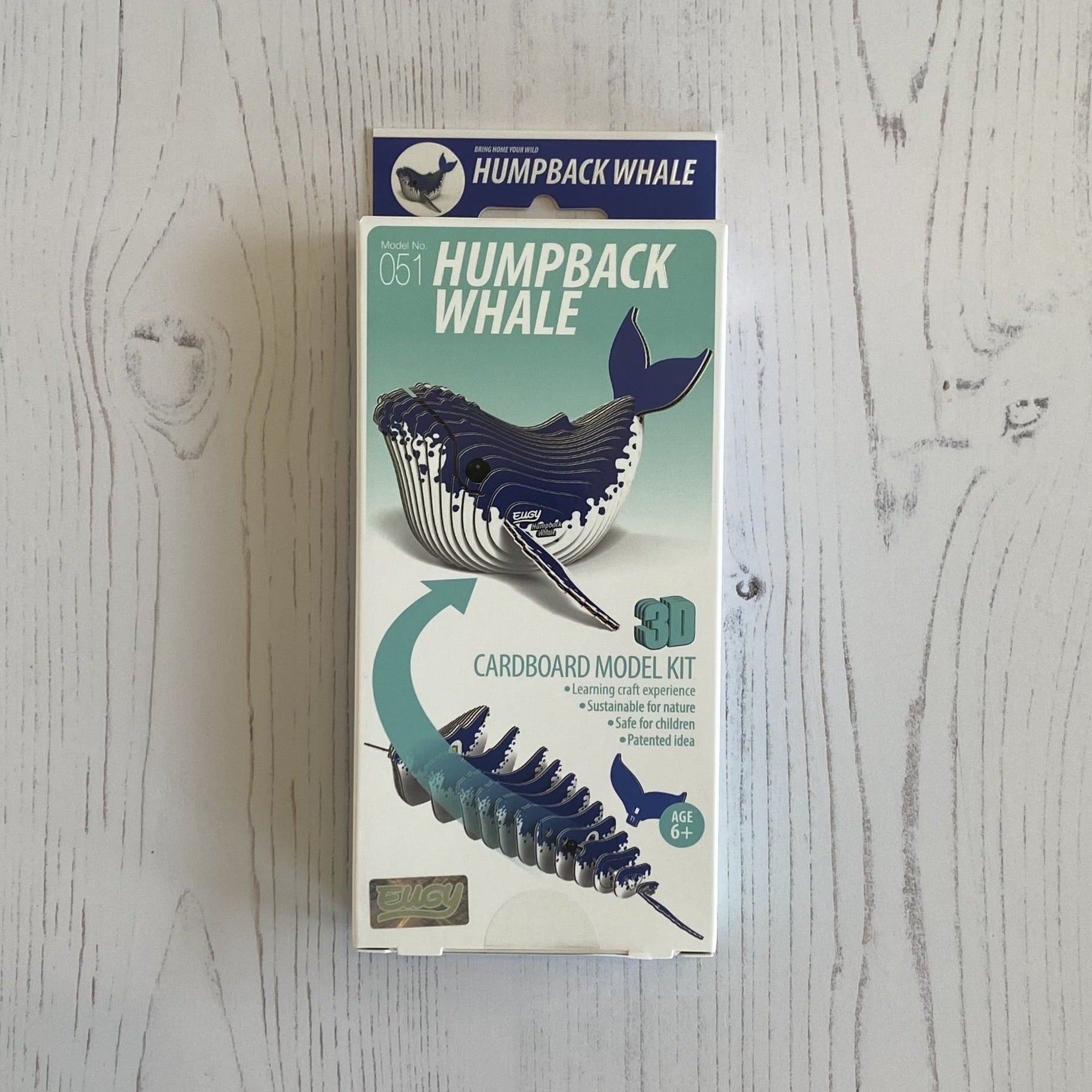 Humpback Whale Craft Model Kit – Scottish Seabird Centre