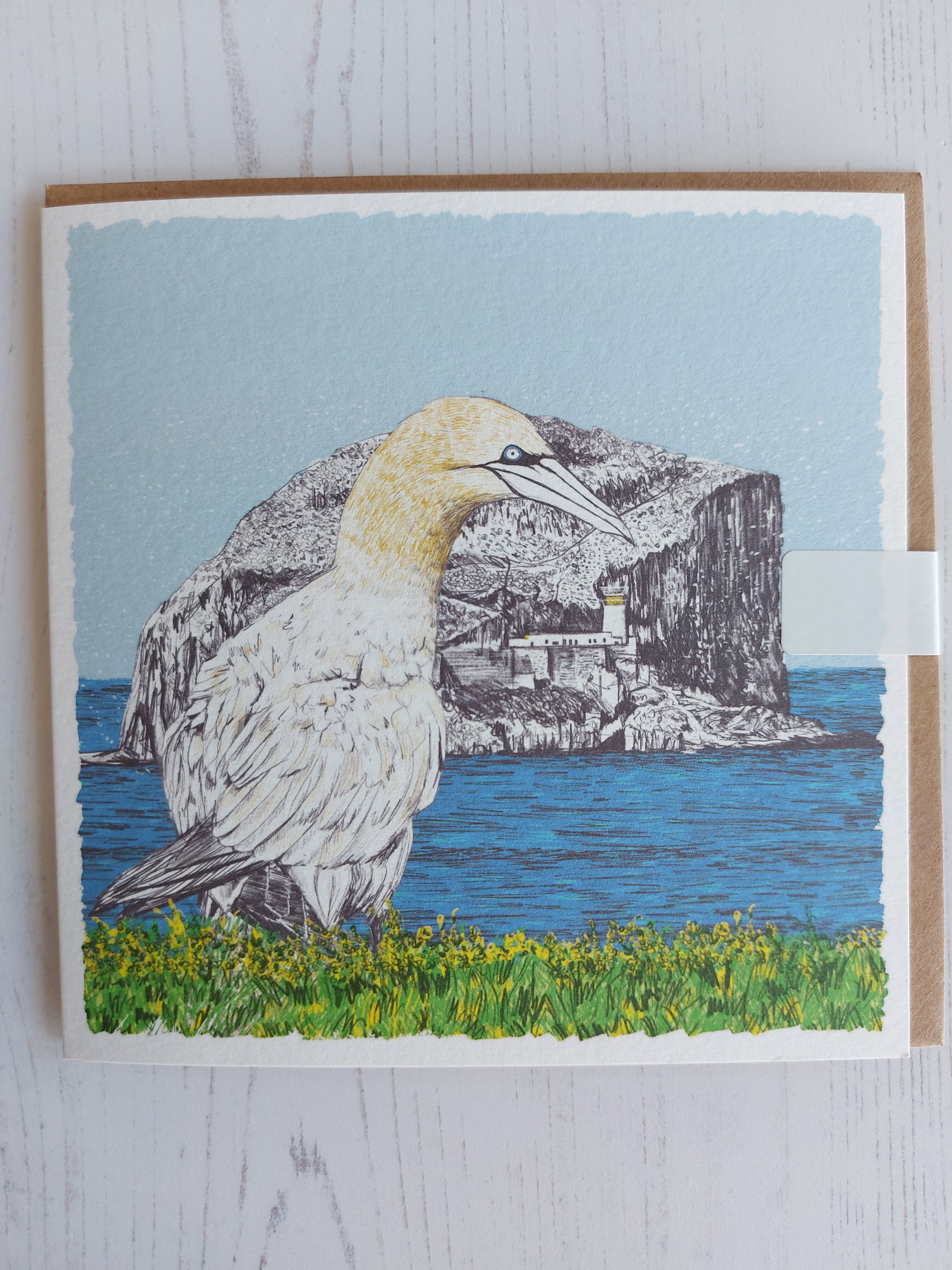 Bespoke Bass Rock Gannet Greetings Card Scottish Seabird Centre